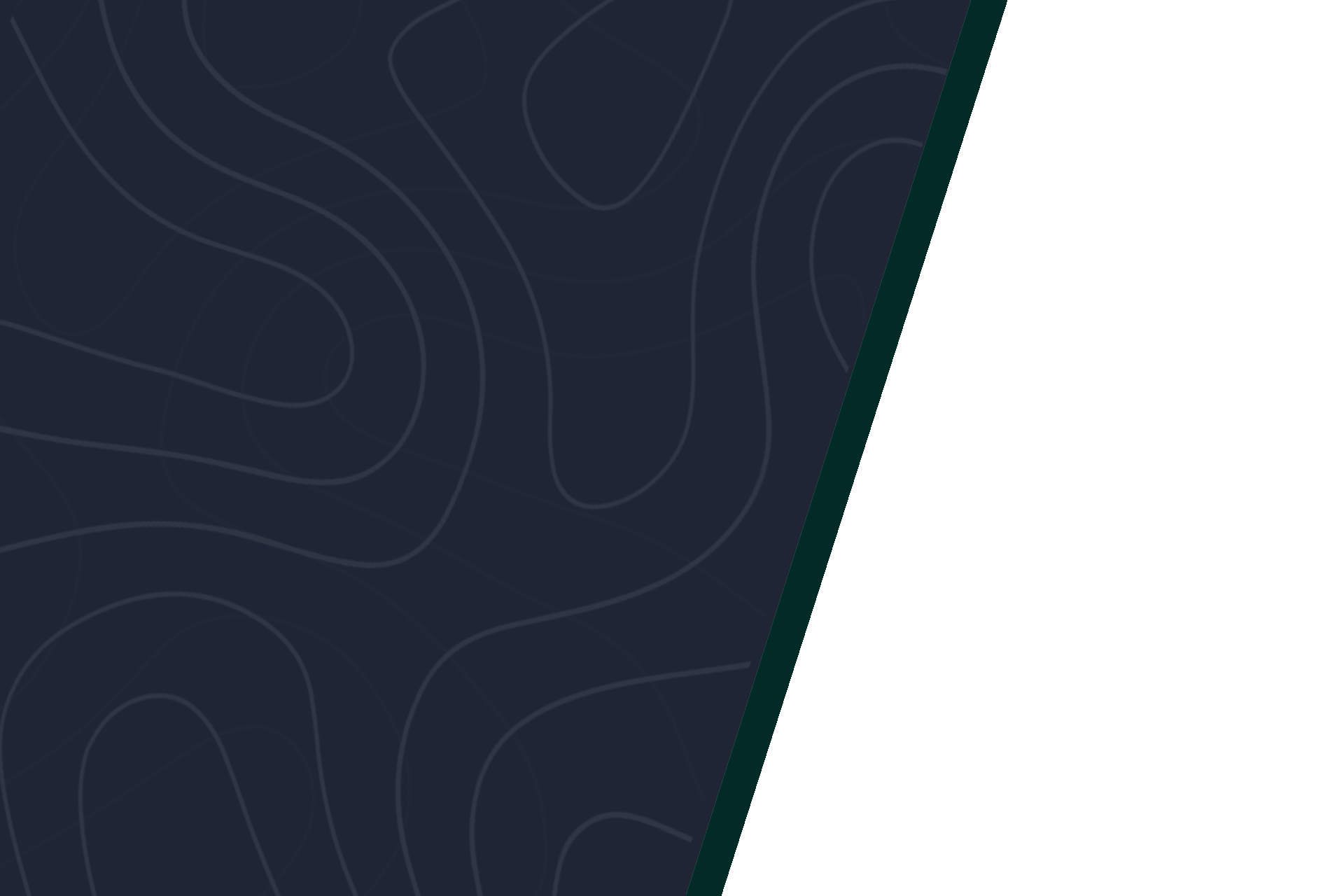 Home - VIP Protection Service